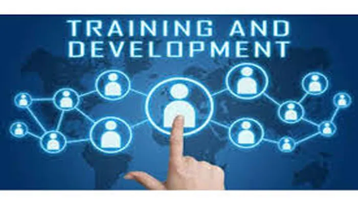 Human Resource Development & Training | Our Services | HGK FIRM