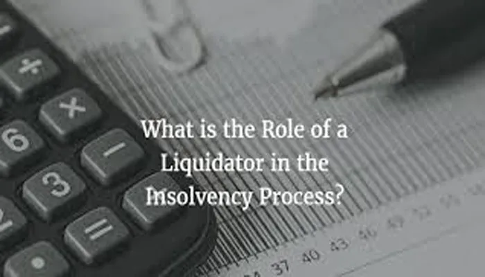 Liquidator | Our Services | HGK FIRM